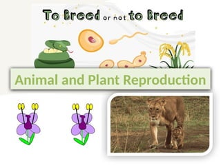 ELS- Plant-and-Animal-Reproduction -.pptx