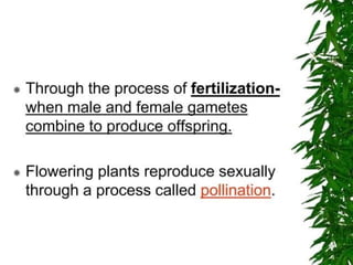 ELS- Plant-and-Animal-Reproduction -.pptx