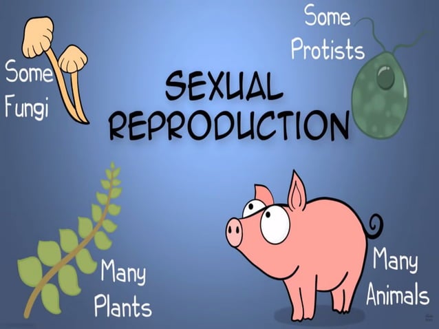 ELS- Plant-and-Animal-Reproduction -.pptx
