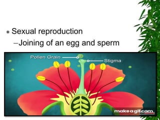 ELS- Plant-and-Animal-Reproduction -.pptx