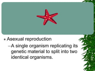 ELS- Plant-and-Animal-Reproduction -.pptx