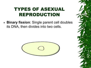 ELS- Plant-and-Animal-Reproduction -.pptx