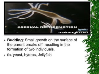 ELS- Plant-and-Animal-Reproduction -.pptx