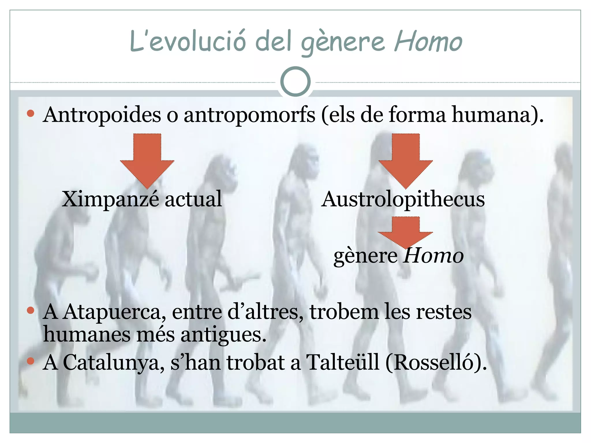 Els Primers Humans | PPT
