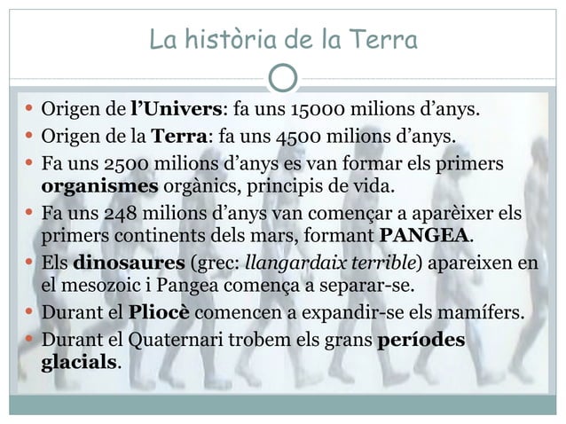 Els Primers Humans | PPT