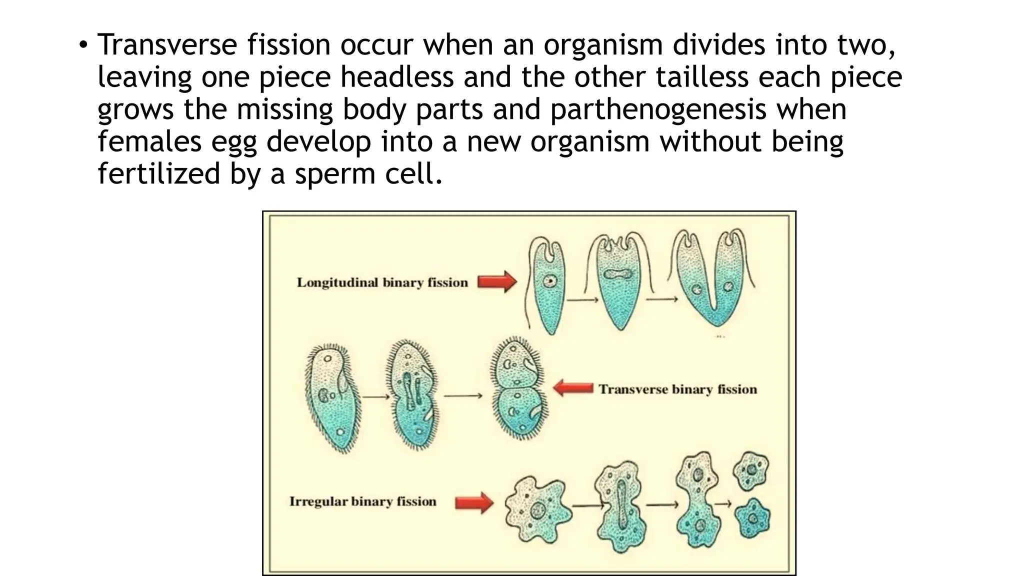 ELS-Q2- WEEK 3-4.pptx