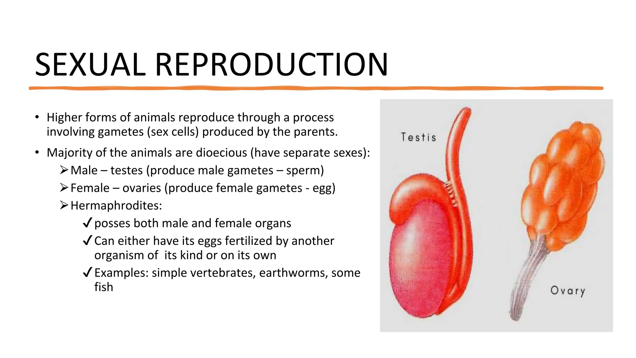 Earth and Life Science-Q2-WK3-ANIMAL-REPRODUCTION.pptx
