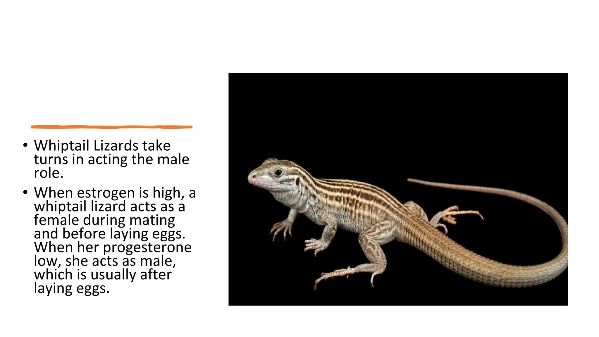 Earth and Life Science-Q2-WK3-ANIMAL-REPRODUCTION.pptx