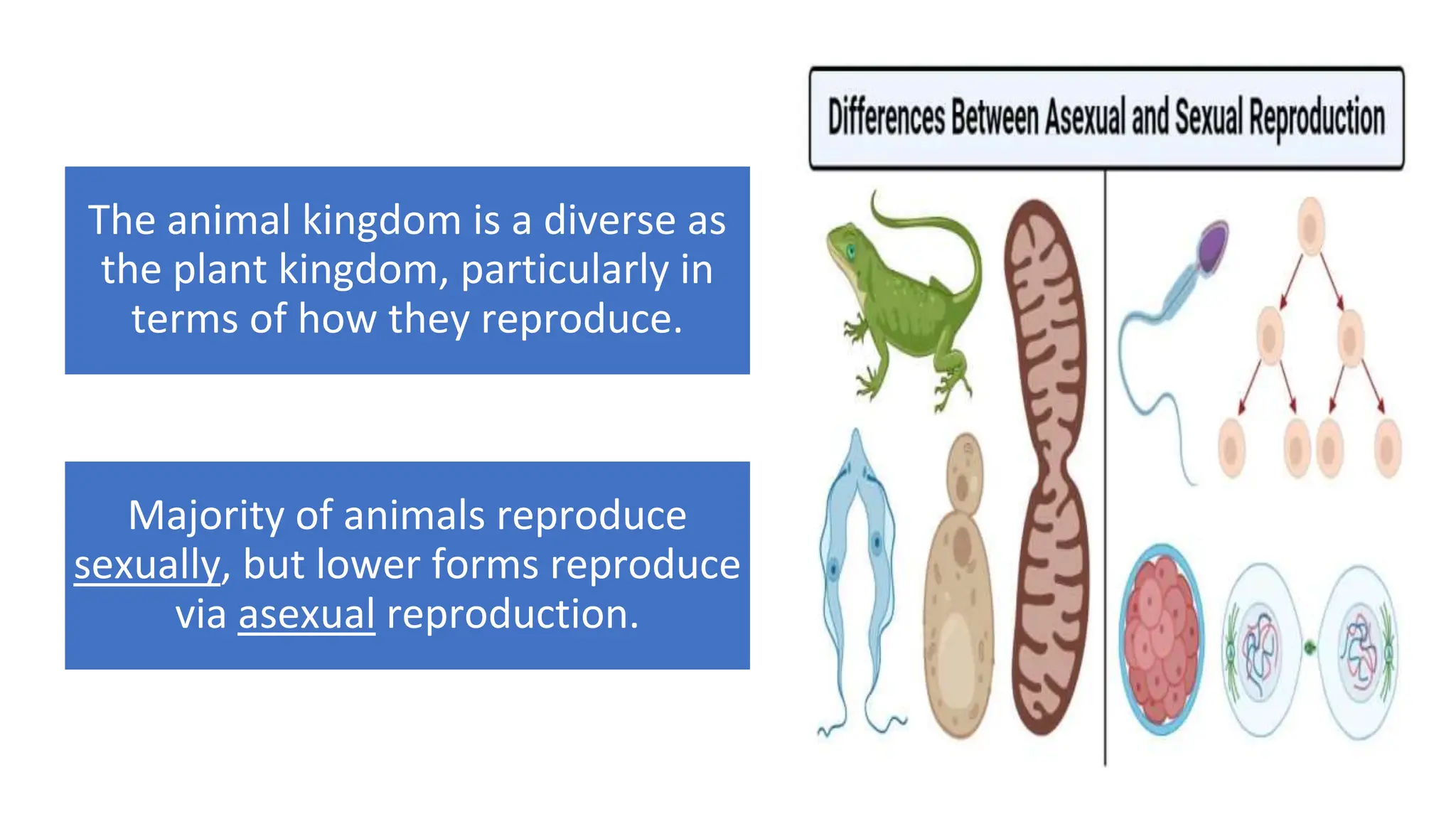 Earth and Life Science-Q2-WK3-ANIMAL-REPRODUCTION.pptx