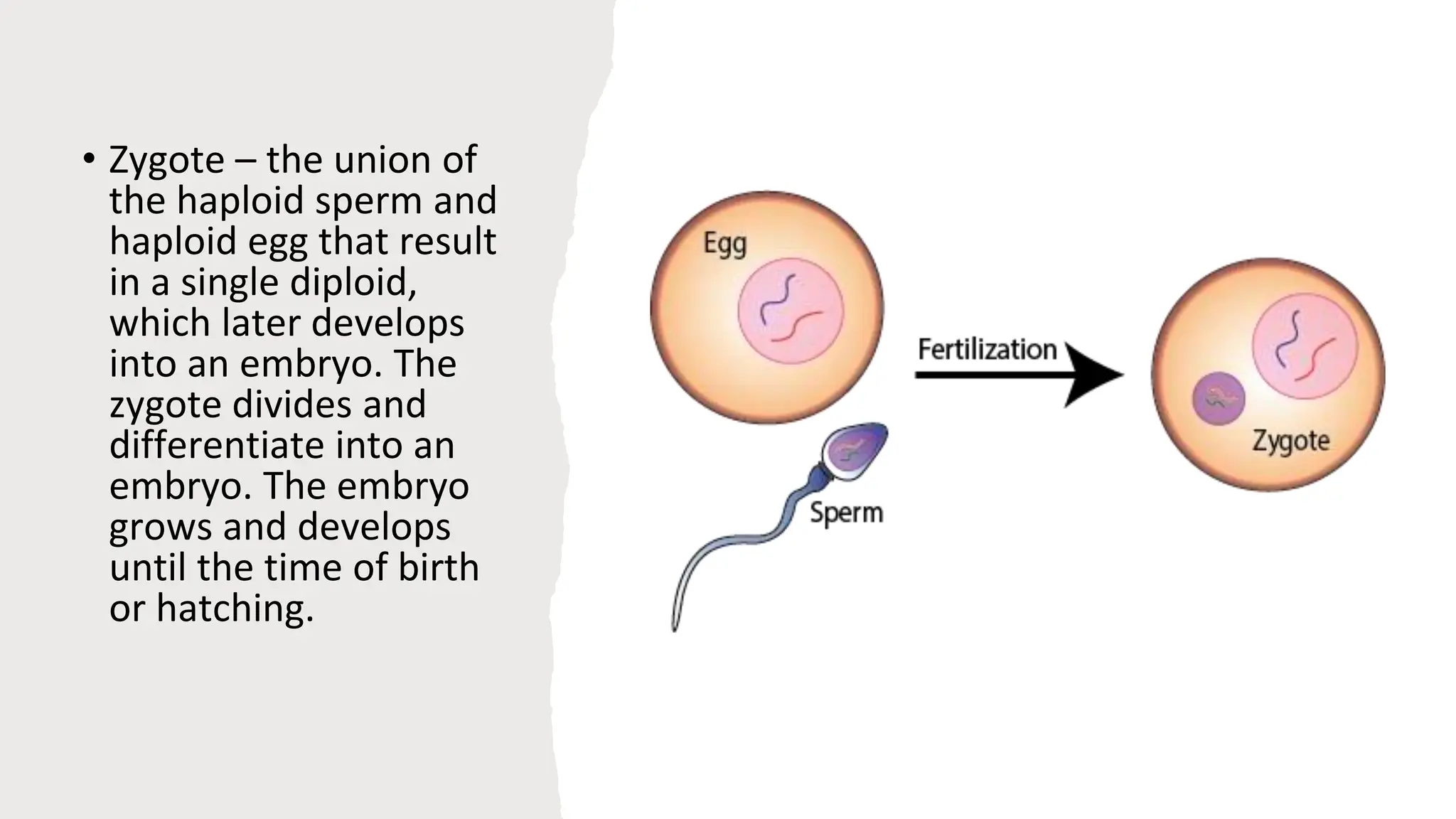 Earth and Life Science-Q2-WK3-ANIMAL-REPRODUCTION.pptx