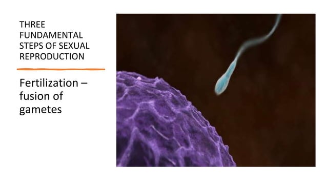 Earth and Life Science-Q2-WK3-ANIMAL-REPRODUCTION.pptx