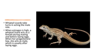 Earth and Life Science-Q2-WK3-ANIMAL-REPRODUCTION.pptx