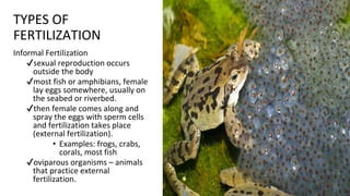 Earth and Life Science-Q2-WK3-ANIMAL-REPRODUCTION.pptx