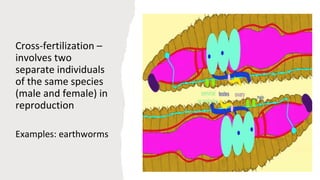Earth and Life Science-Q2-WK3-ANIMAL-REPRODUCTION.pptx