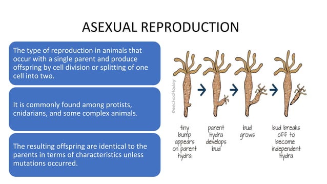 Earth and Life Science-Q2-WK3-ANIMAL-REPRODUCTION.pptx