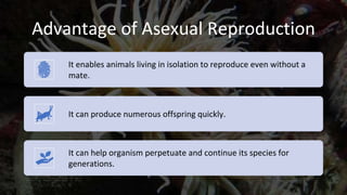 Earth and Life Science-Q2-WK3-ANIMAL-REPRODUCTION.pptx