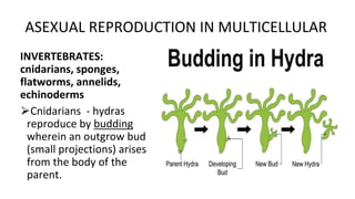 Earth and Life Science-Q2-WK3-ANIMAL-REPRODUCTION.pptx