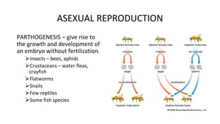 Earth and Life Science-Q2-WK3-ANIMAL-REPRODUCTION.pptx
