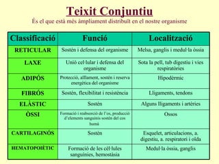 ELS TEIXITS | PPT