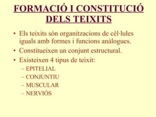 ELS TEIXITS | PPT