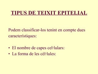 ELS TEIXITS | PPT