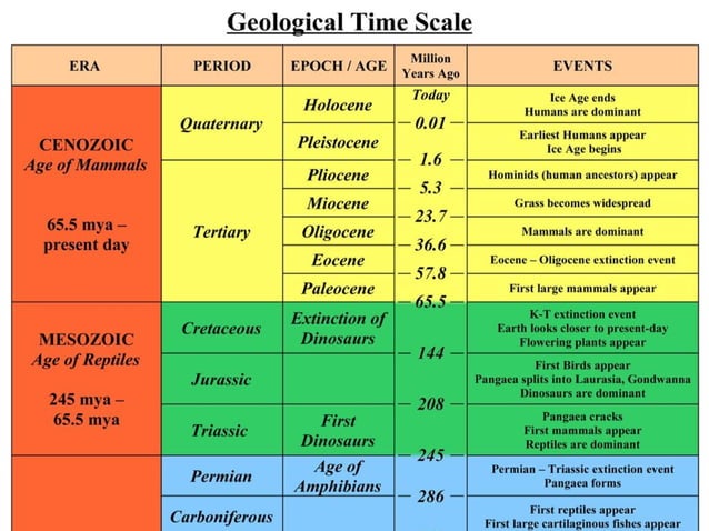 ELS-Week-6-Day-2-Geologic-Timelinehagah.pdf