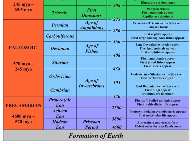 ELS-Week-6-Day-2-Geologic-Timelinehagah.pdf