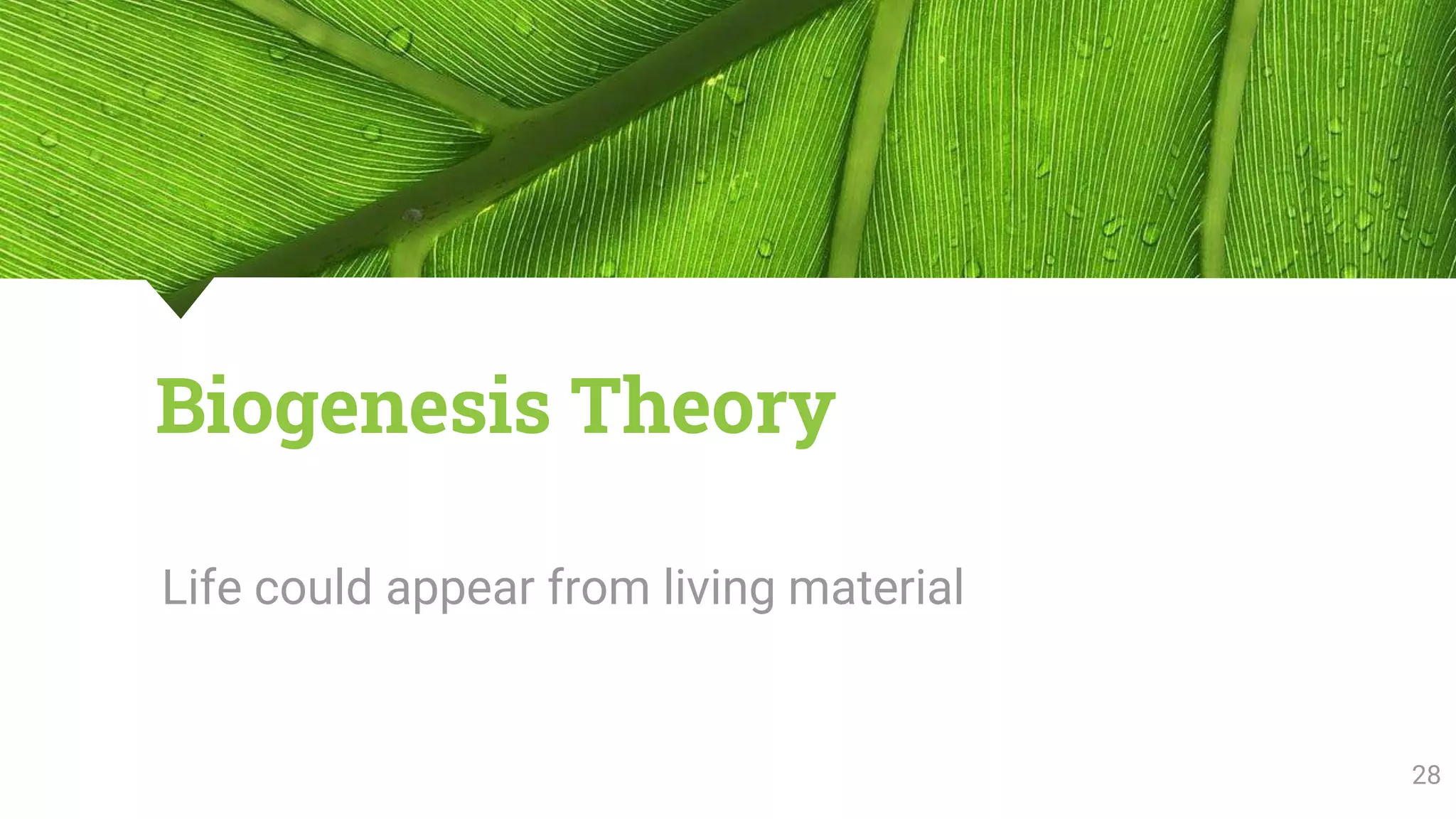 ELS 11 Q2 W1 Evolving Concept of Life.pptx