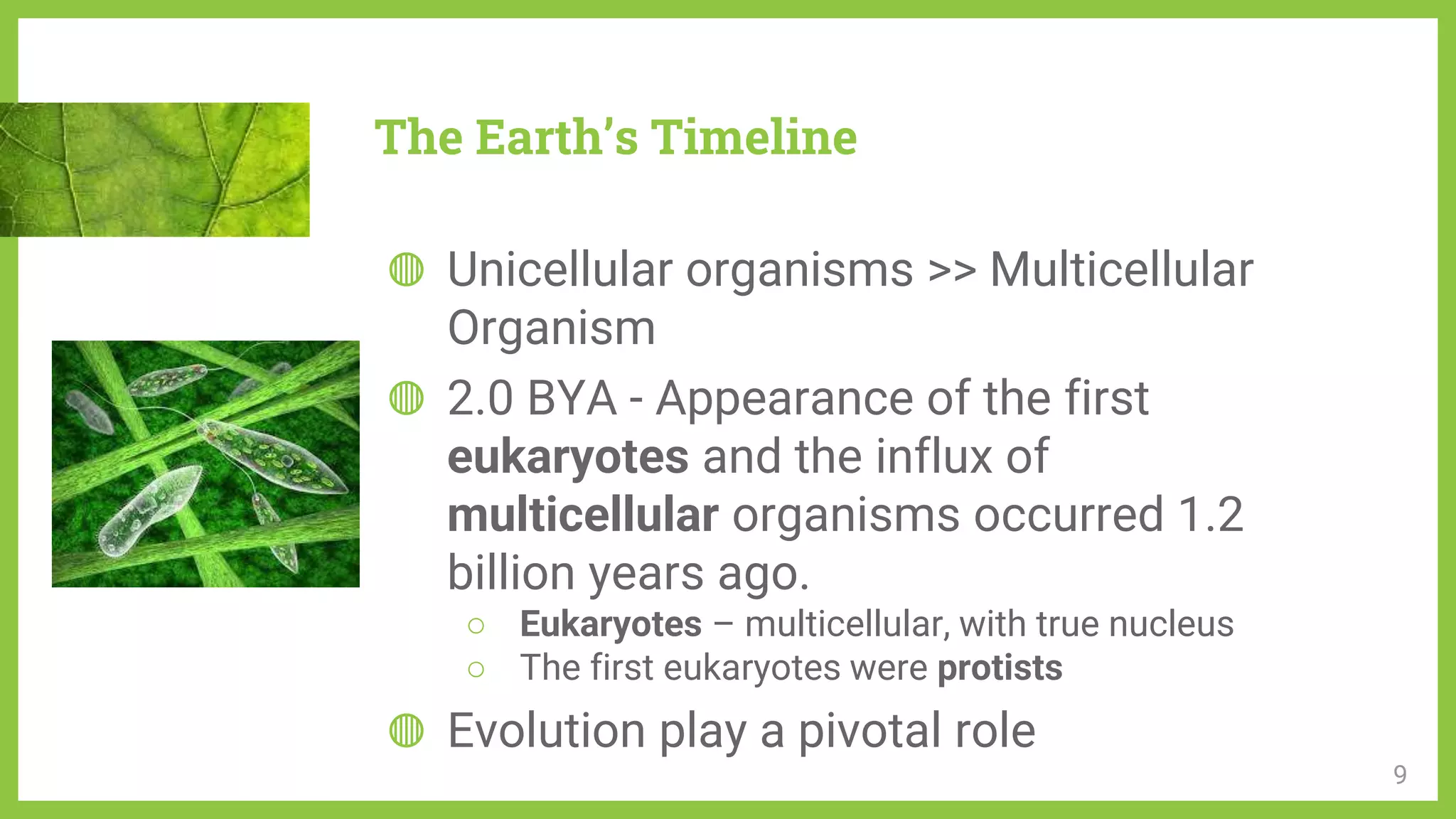 ELS 11 Q2 W1 Evolving Concept of Life.pptx