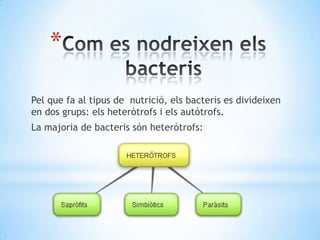Els 5 regnes | PPT