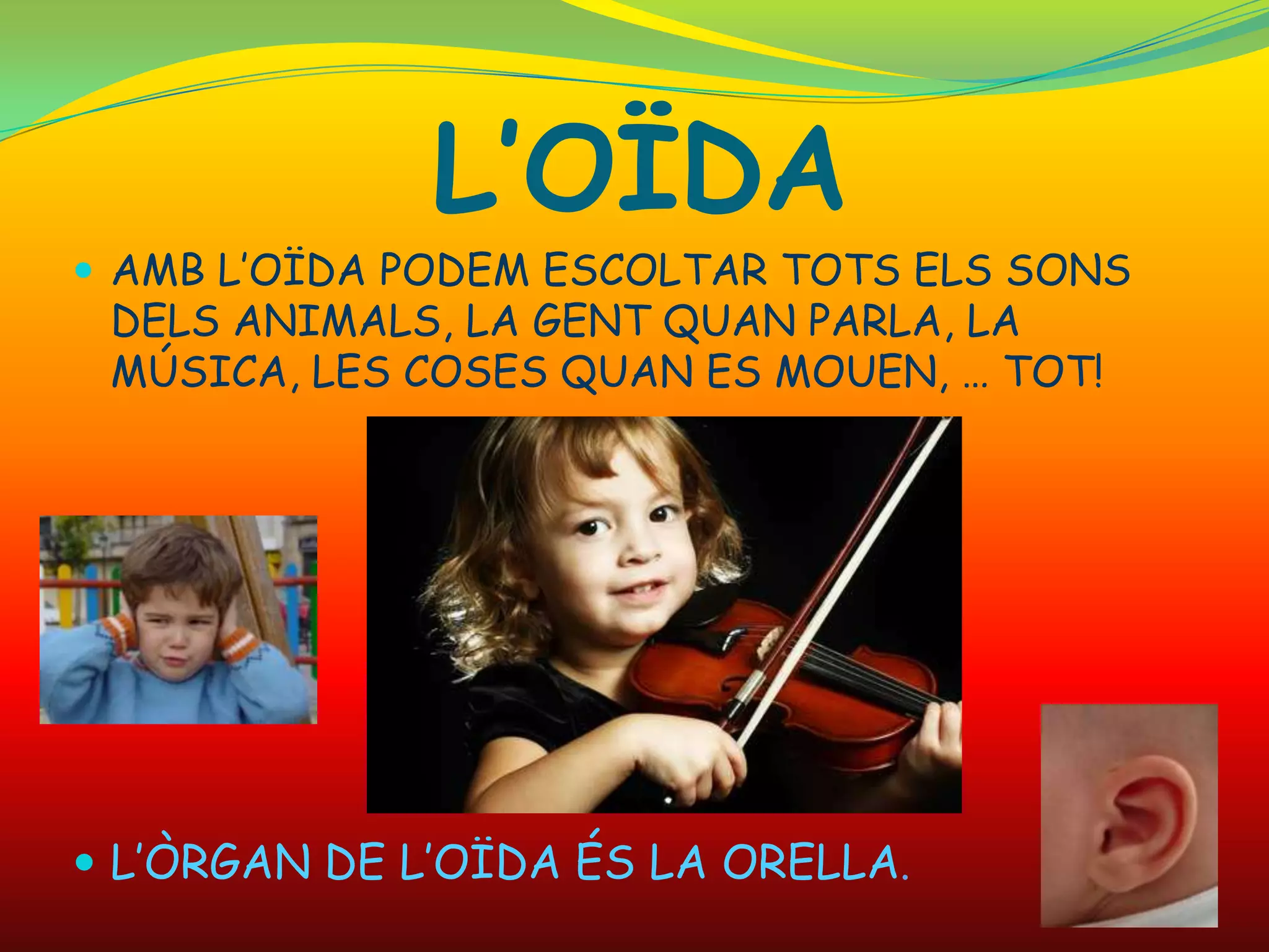 Els 5 Sentits | PPTX