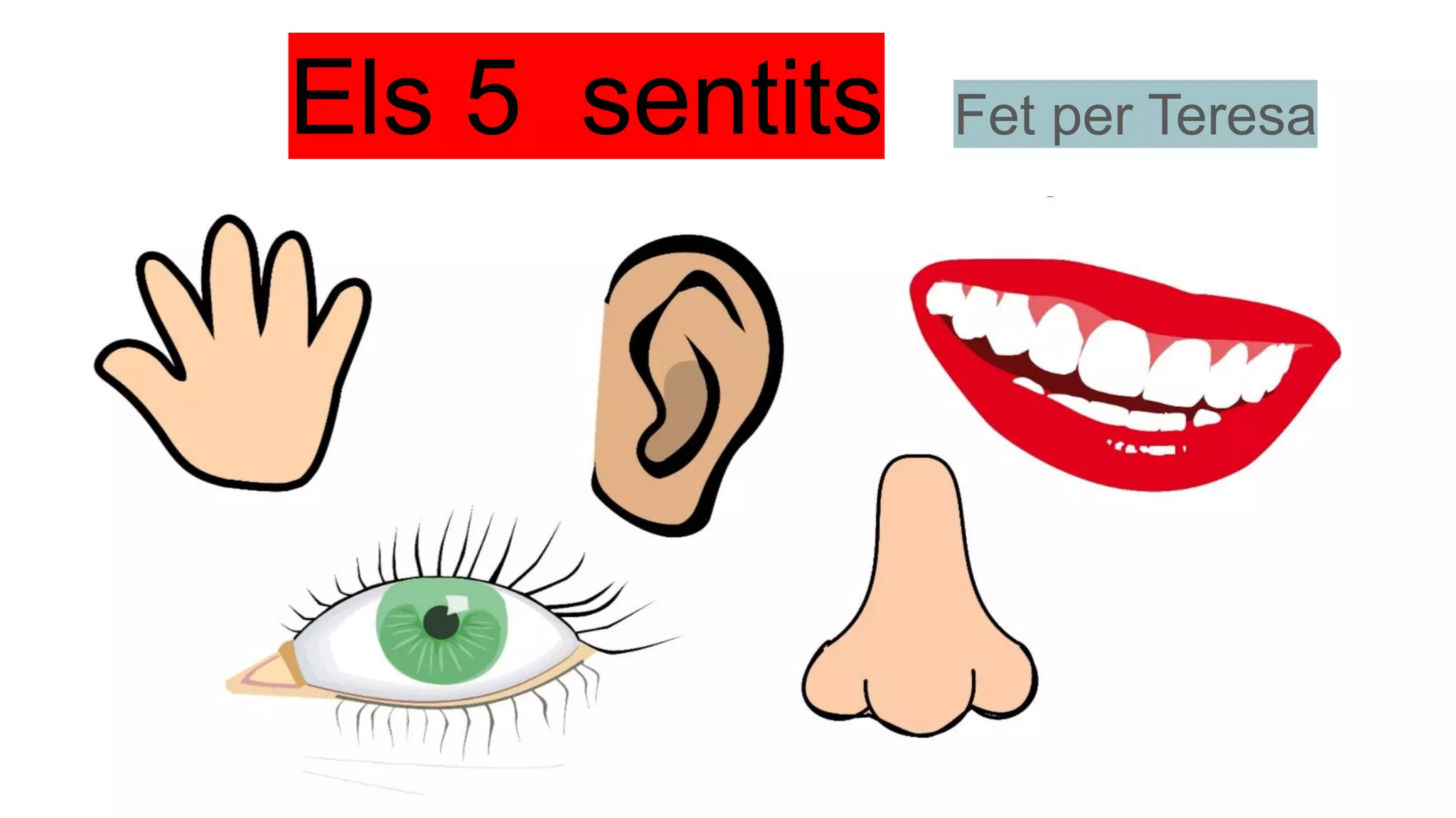 Els 5 sentits | PDF
