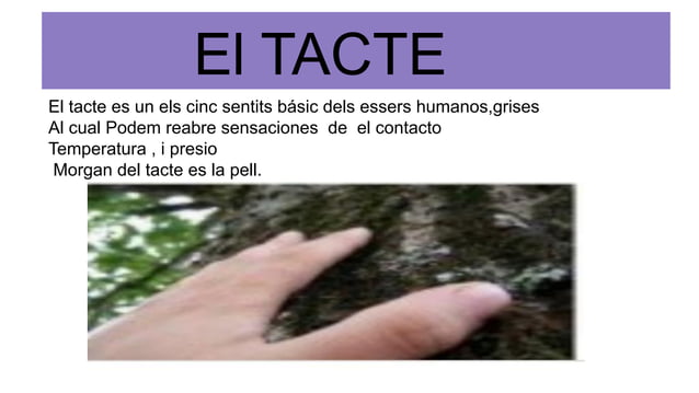 Els 5 sentits | PPT