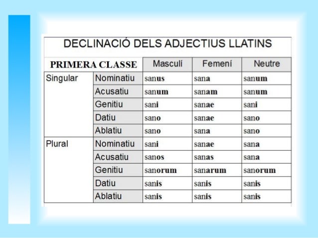 Els adjectius llatins