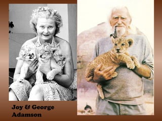 Love of the Wild | PPS