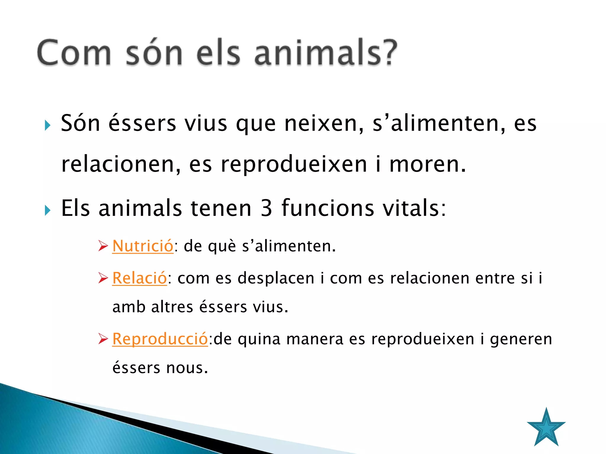 Els animals | PPTX