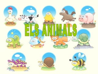 Els animals | PPT