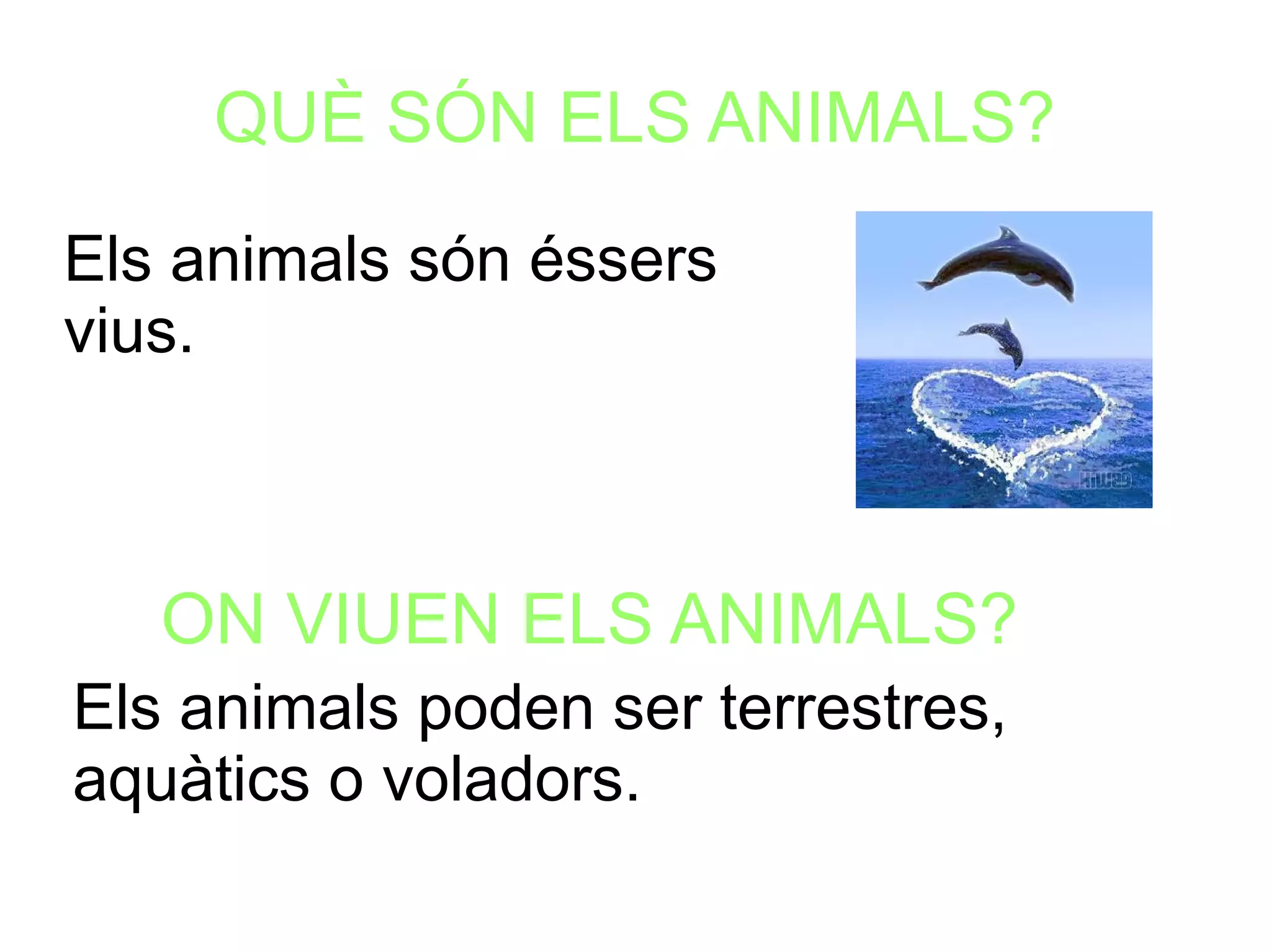 Els animals | PPT