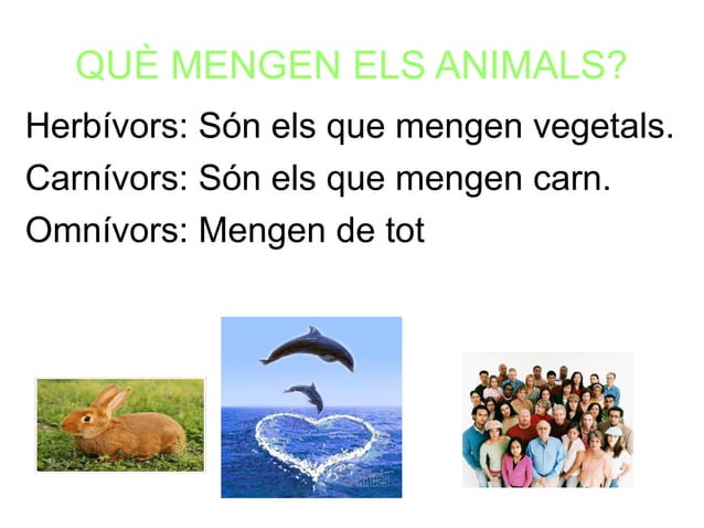 Els animals | PDF