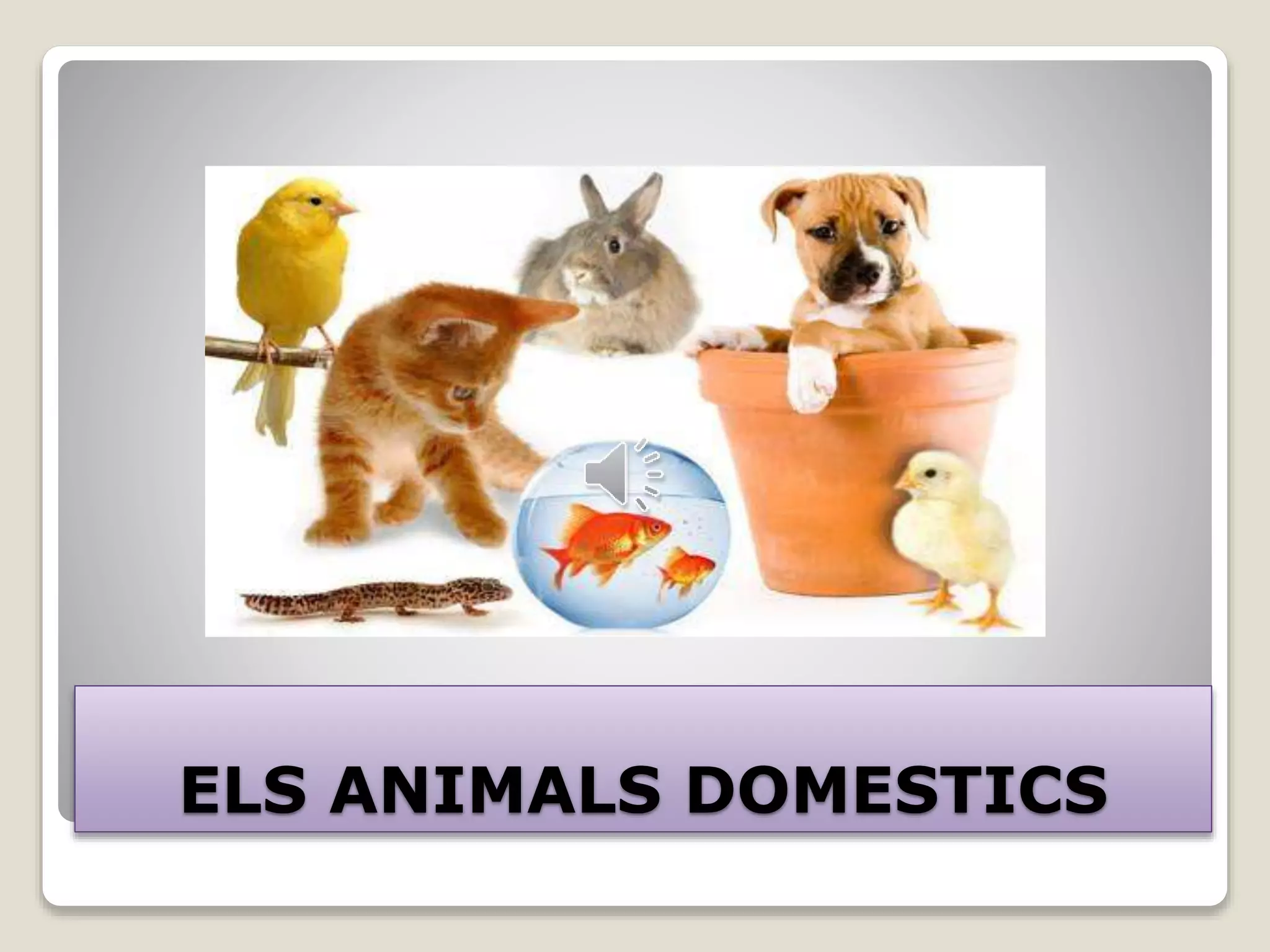 Els animals domestics | PPTX