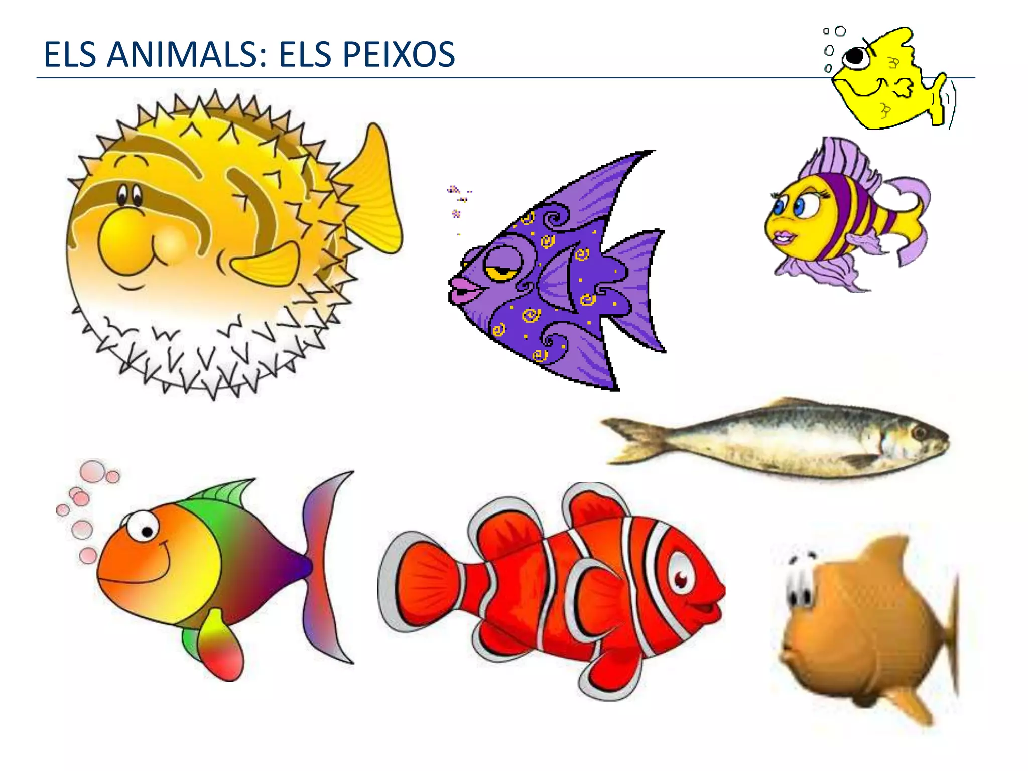 Els animals, els peixos | PPSX
