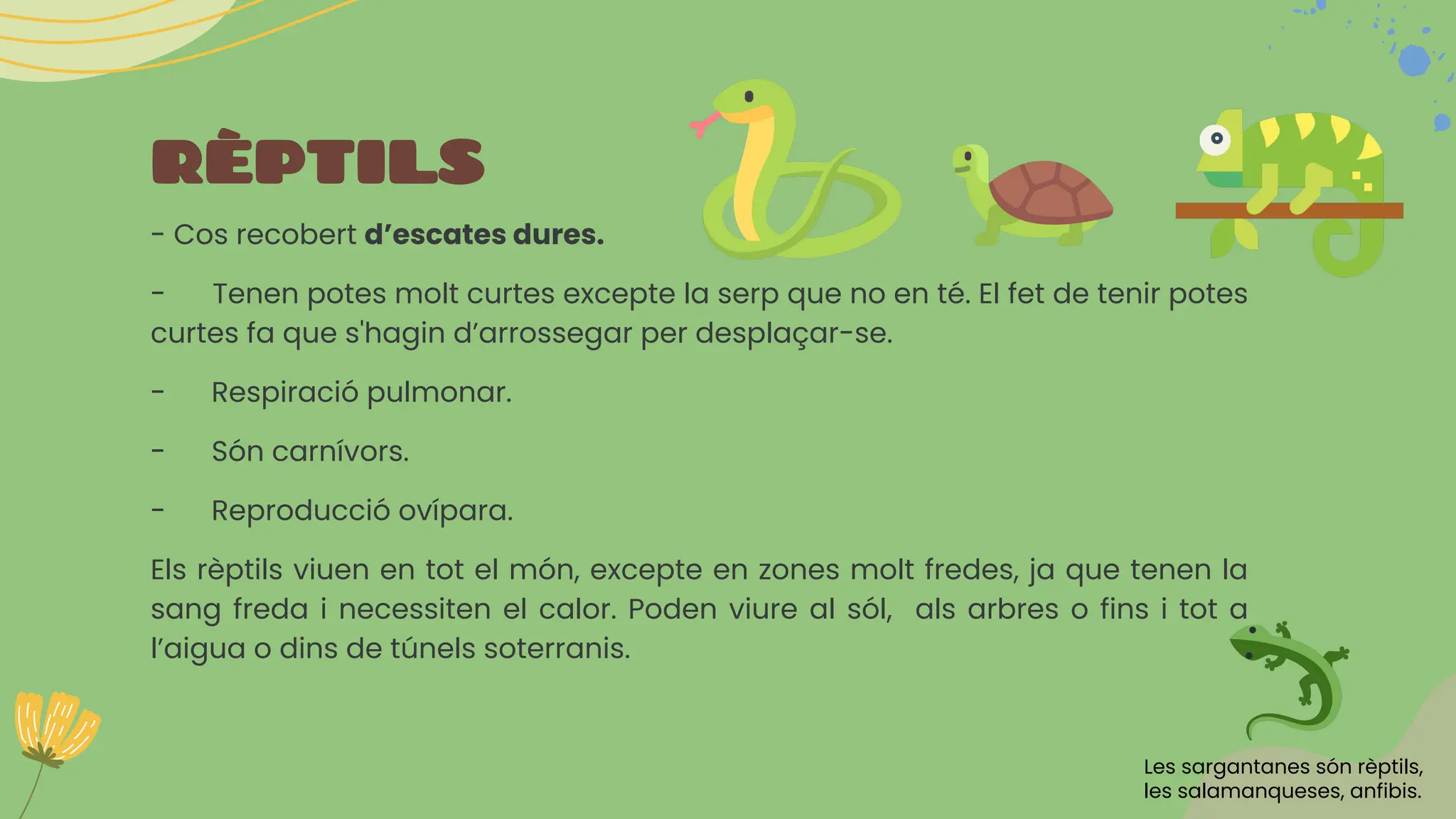 Els animals i els seus hàbitats.pdf