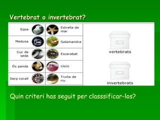 Els animals invertebrats | PPT