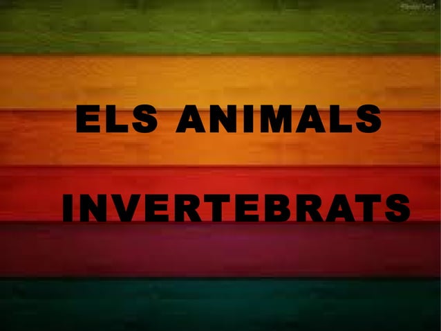 Els animals invertebrats | PPT