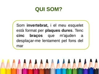 Els animals invertebrats | PPT