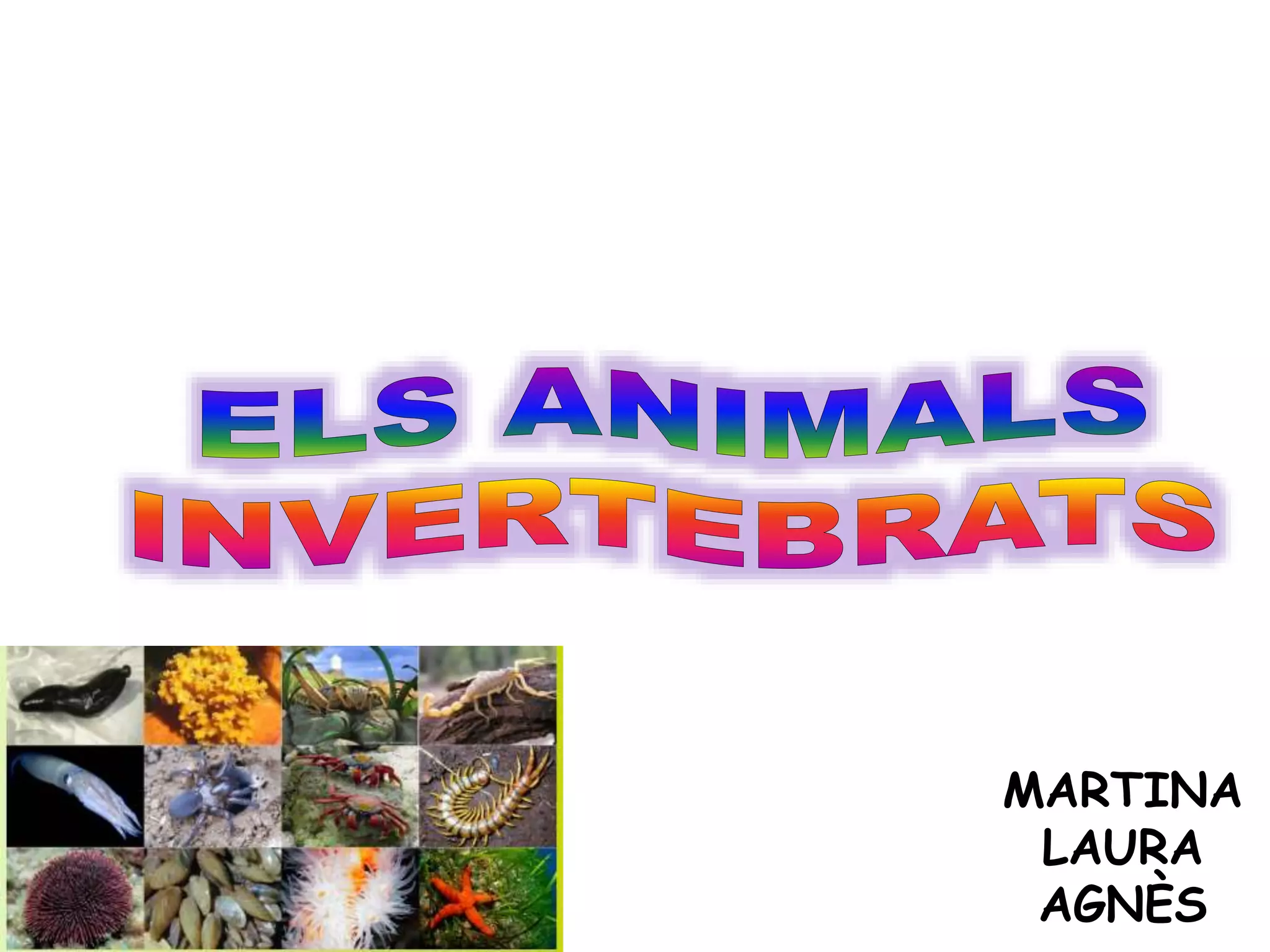 Els animals invertebrats. Grup Agnès | PPT