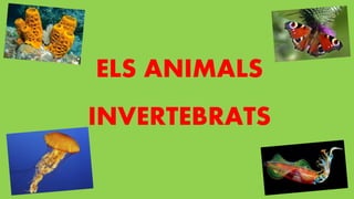 Els animals invertebrats | PPT