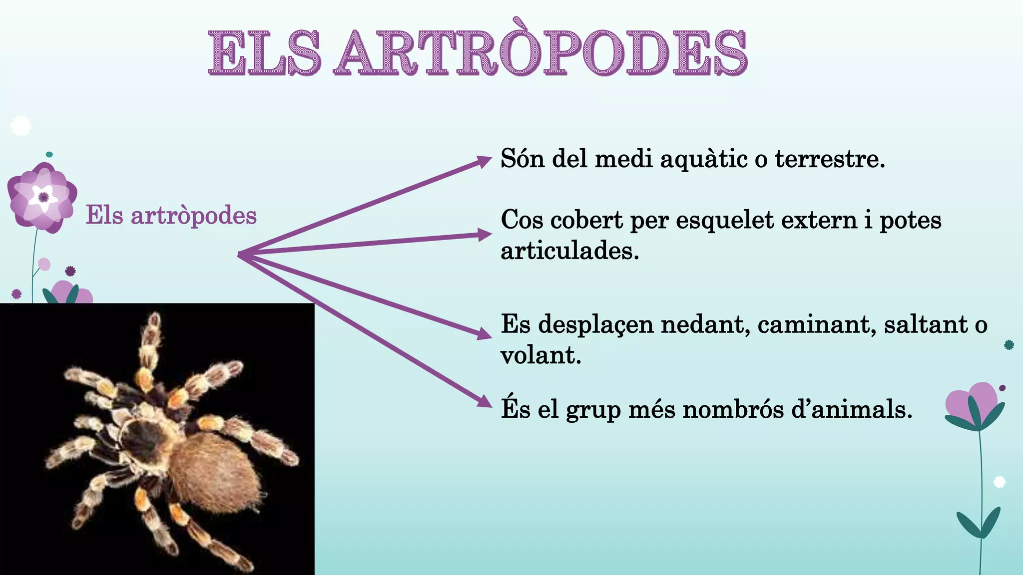 Els animals invertebrats. Aina i Elena | PPTX