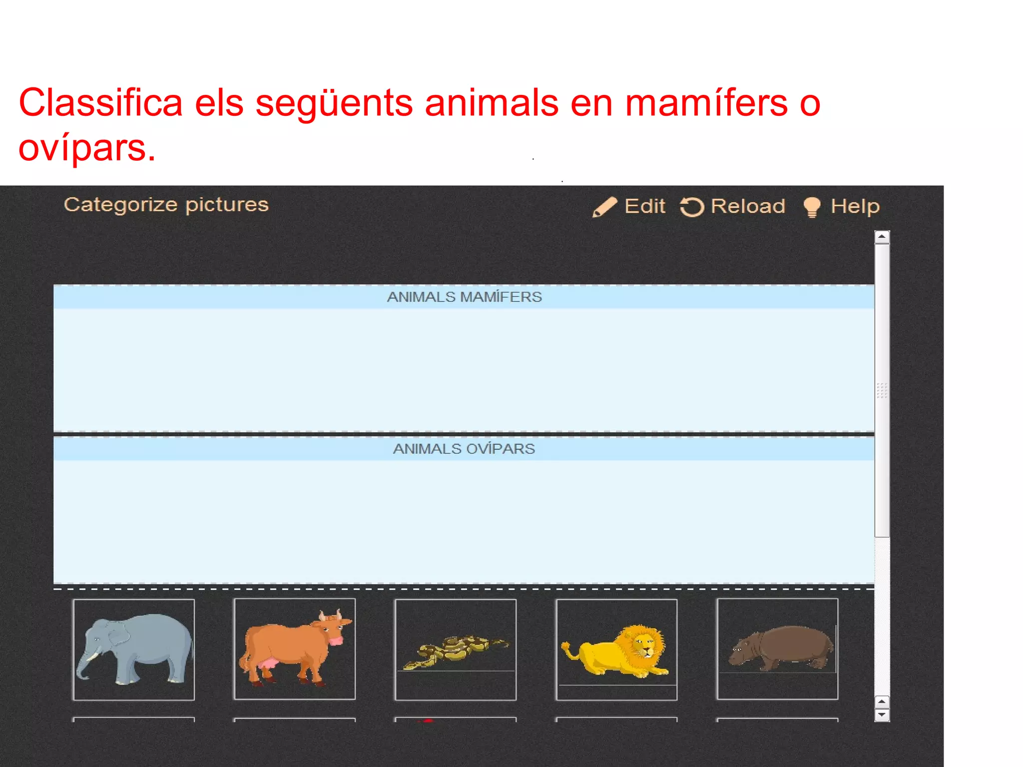 Els animals mamifers | PDF
