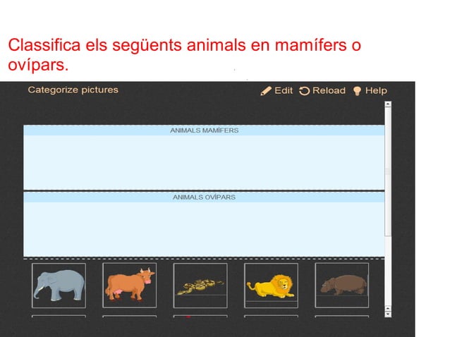 Els animals mamifers | PDF